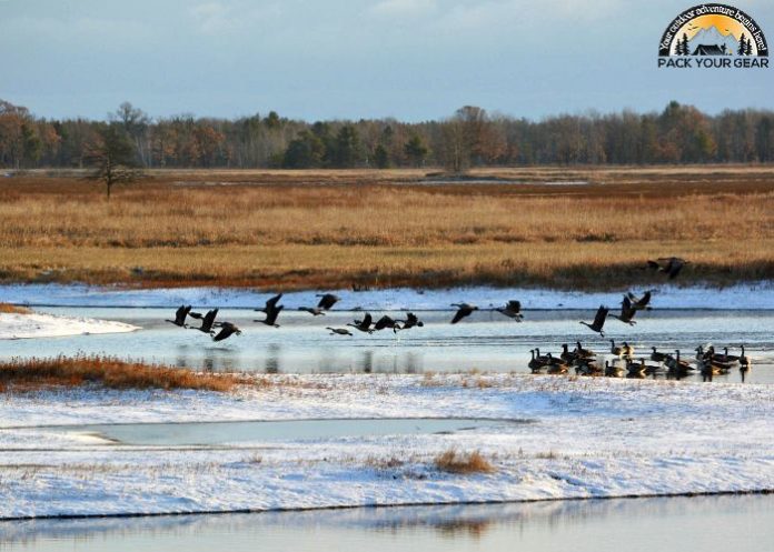 Necedah National Wildlife Refuge | Pack Your Gear
